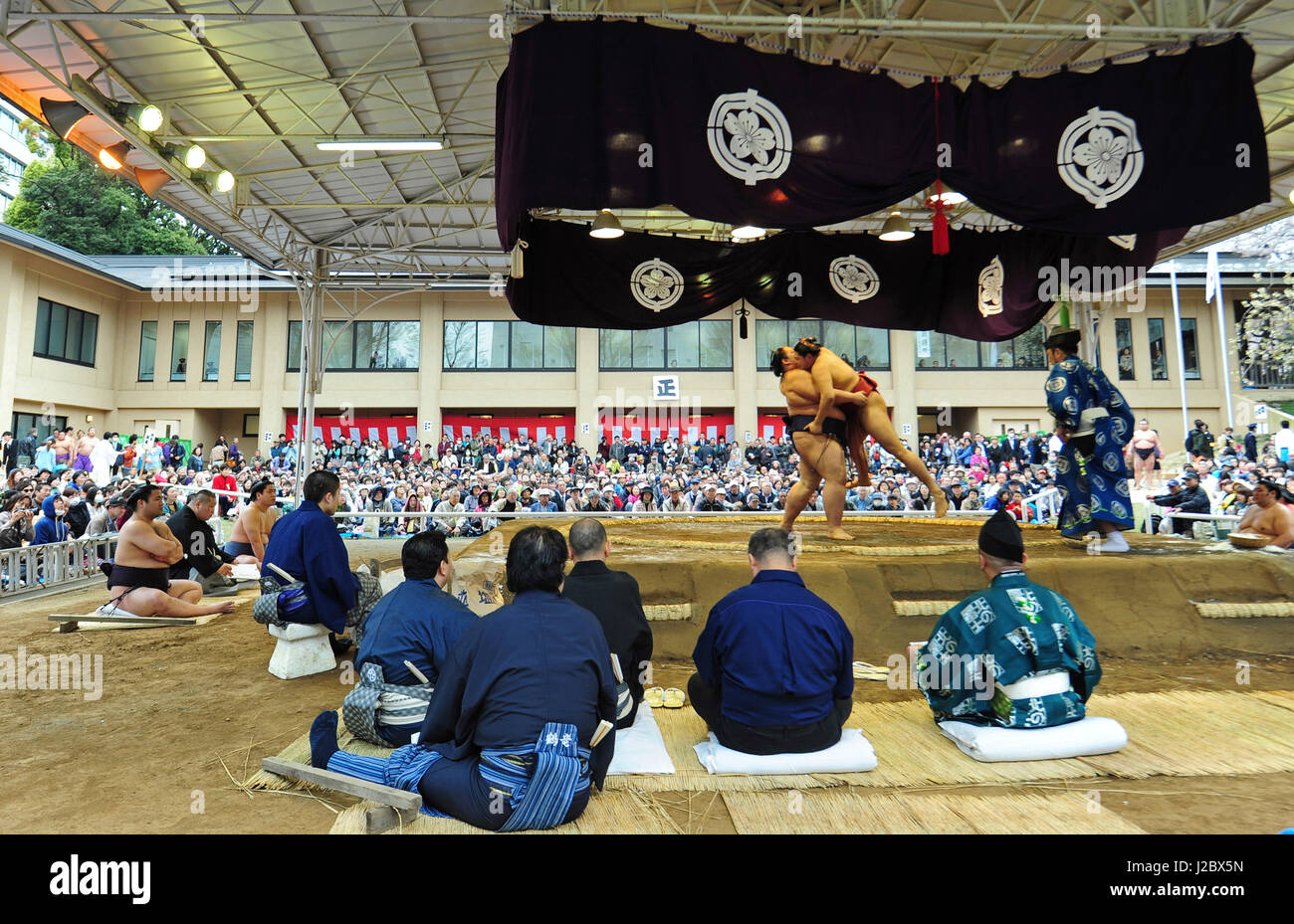 Japan, Tokyo, Yasukuni Shrine, Ceremonial Sumo Tournament Stock Photo ...