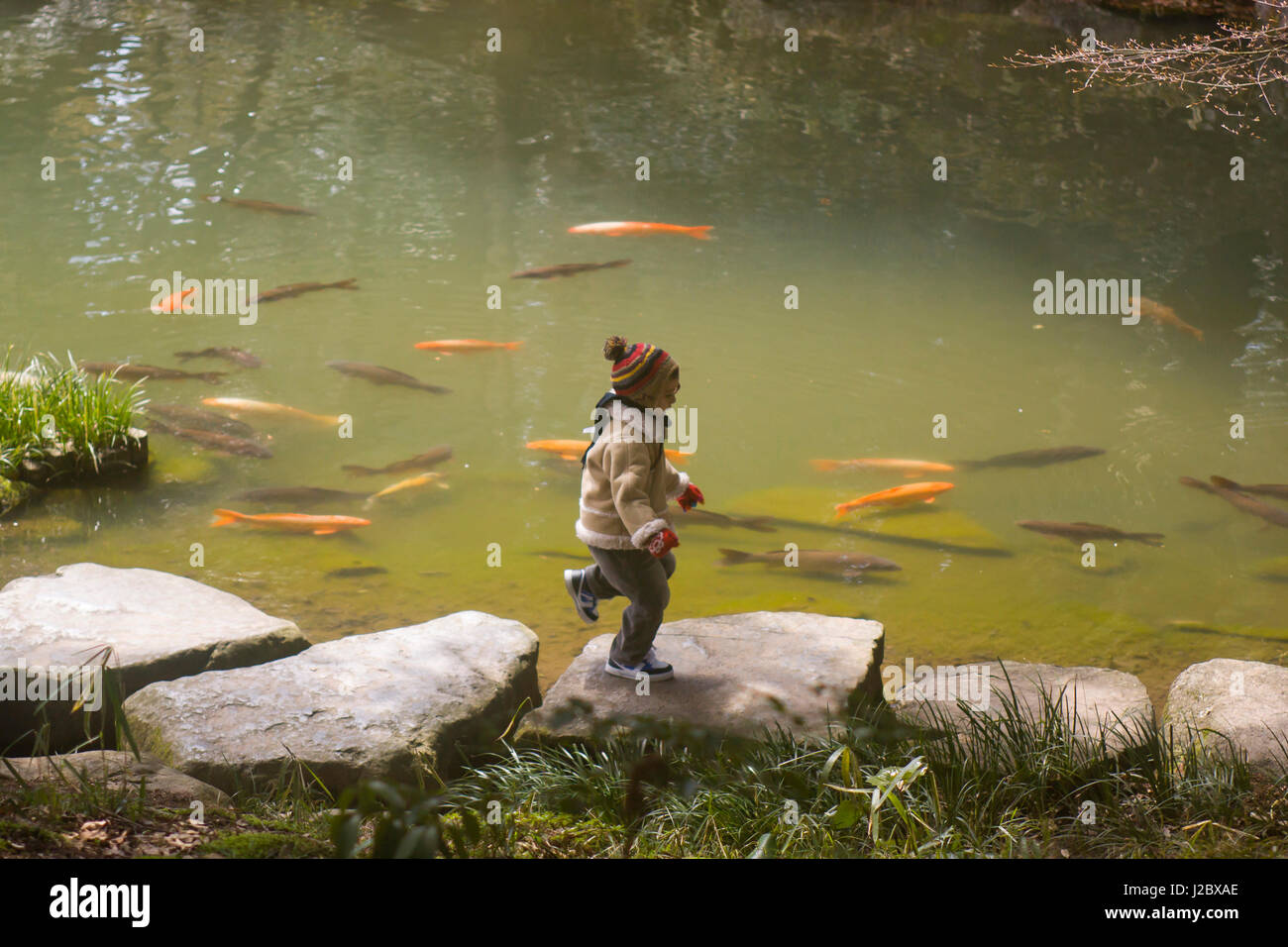 Koi pond shrine hi-res stock photography and images - Alamy