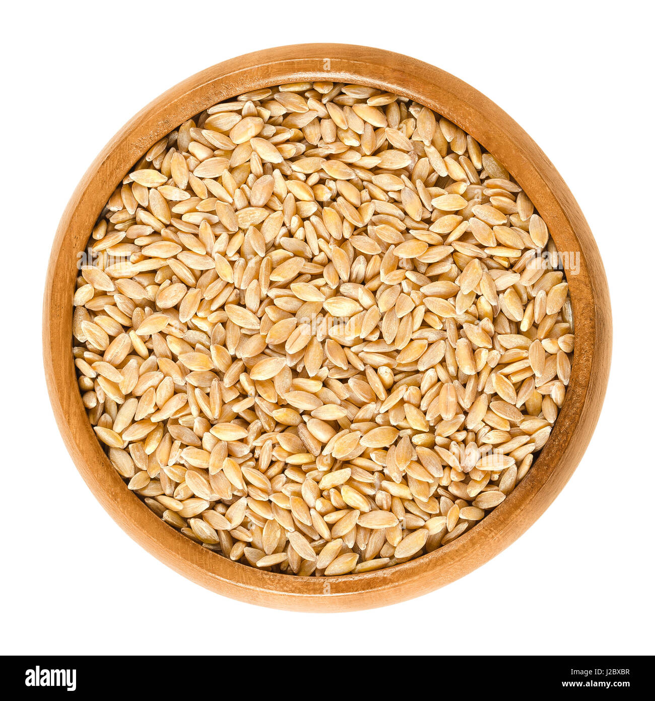 Cereal plant plants grain grains Cut Out Stock Images & Pictures - Alamy
