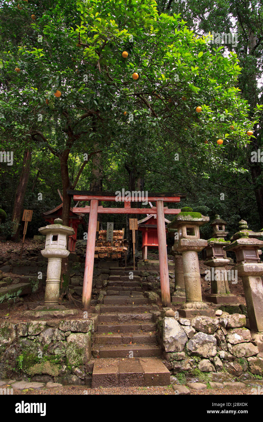 A small tori gate at the entrance to a small shrine in the grounds of ...