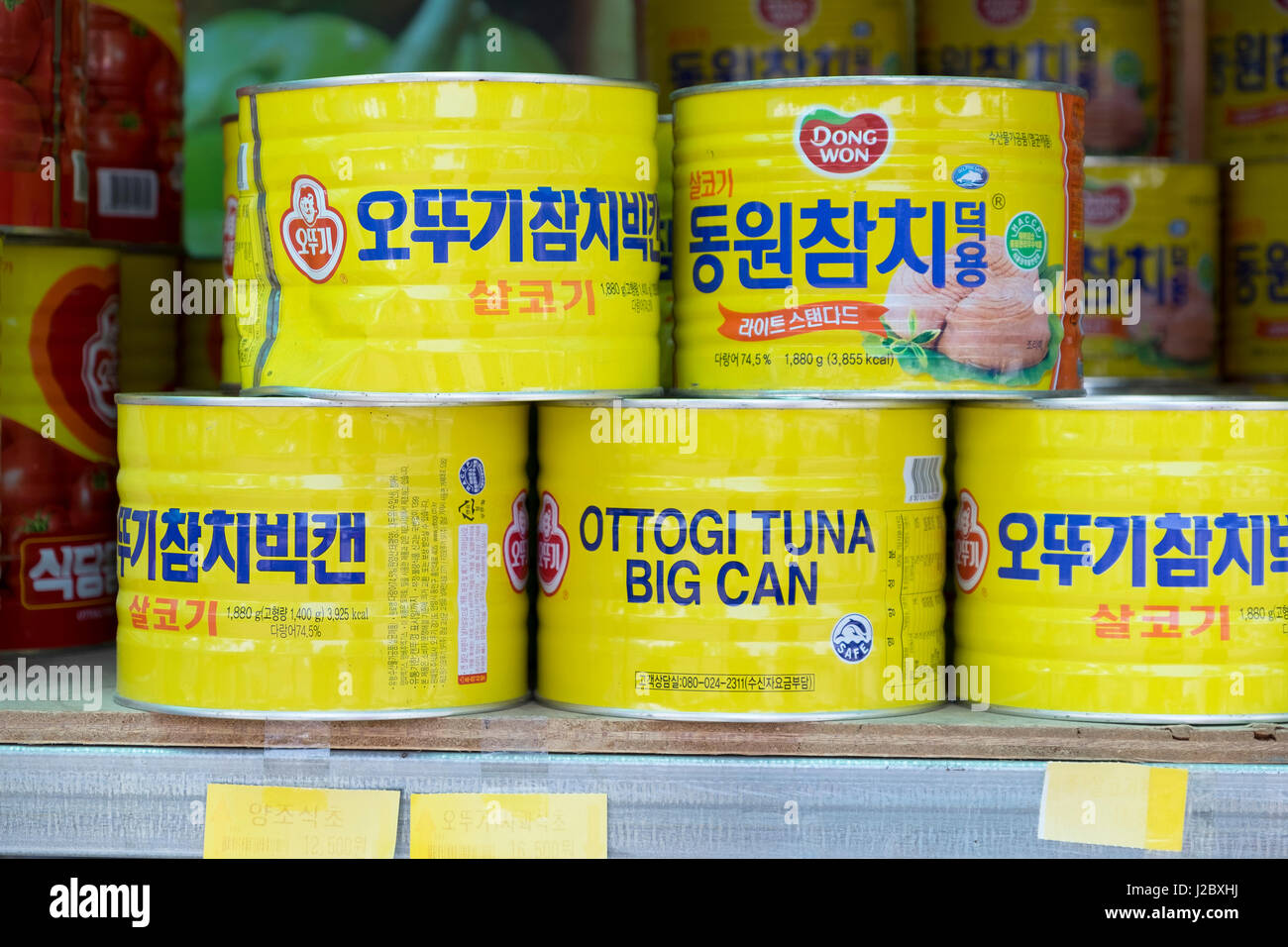 Asia, South Korea, Incheon Airport neighborhood. Cans of fish for sale ...
