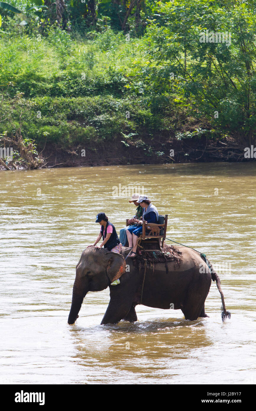 An elephant village just outside of Luang Prabang, Laos offers an ...