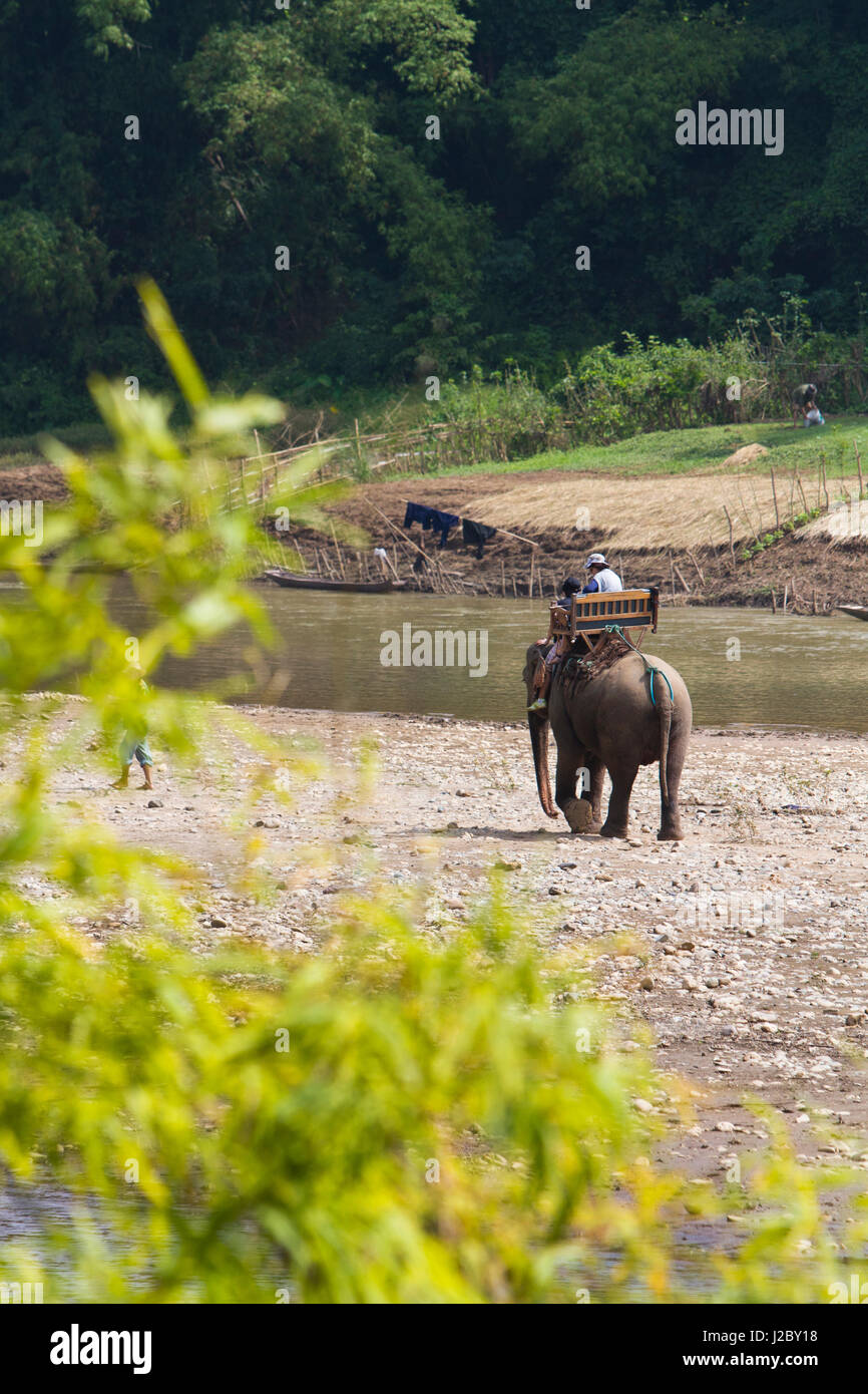 An elephant village just outside of Luang Prabang, Laos offers an ...