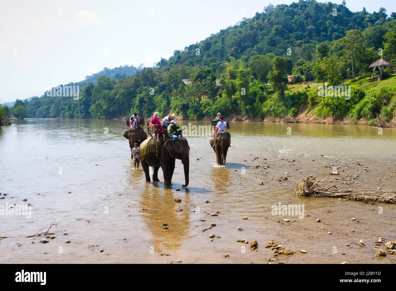 An elephant village just outside of Luang Prabang, Laos offers an ...