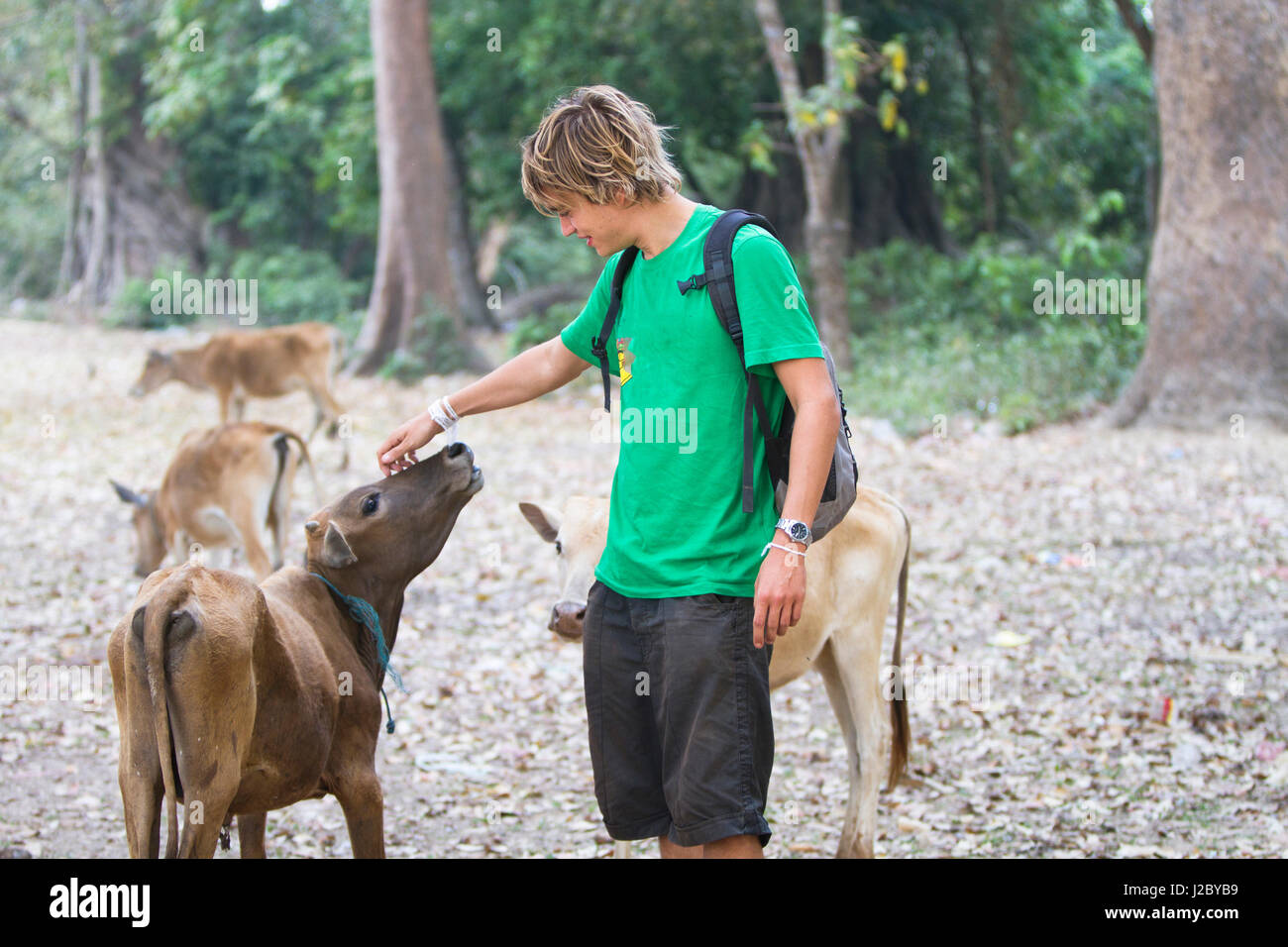Monkey Forest is located in the Xe Champhone region of Laos. Petting ...