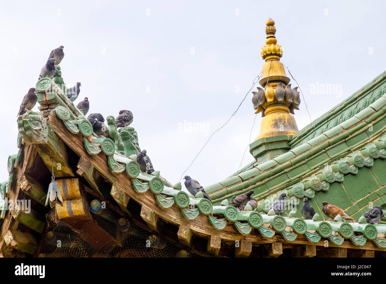 View ulaanbaatar from gandan monastery hi-res stock photography and ...