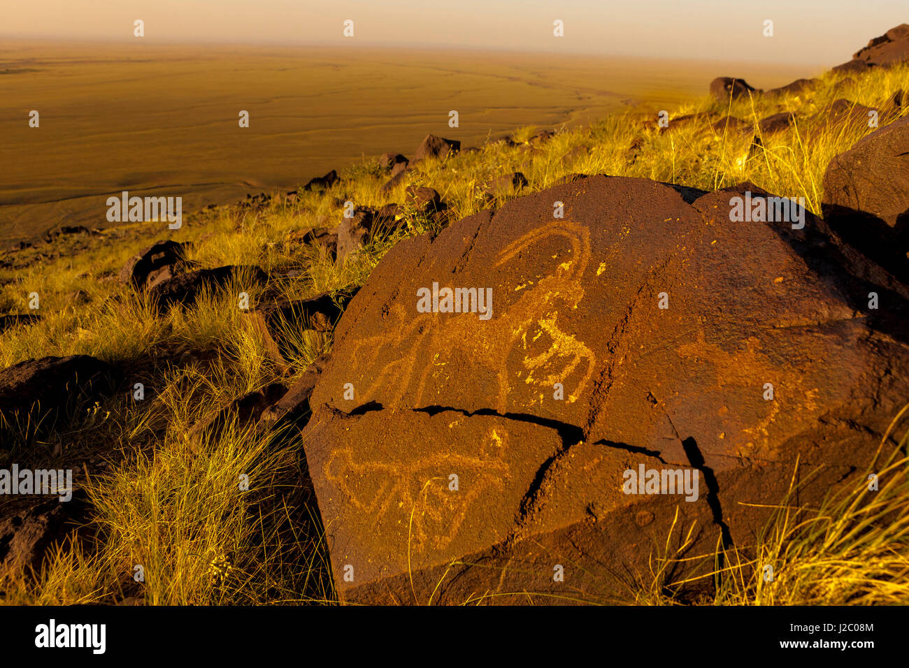 Ancient petroglyphs, 7000 BC. Havtsgait Valley. Gobi Desert. Mongolia ...