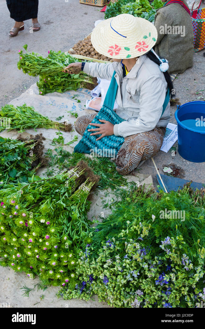 Myanmar. Shan State. Aung Pan market. Woman selling flowers Stock Photo ...