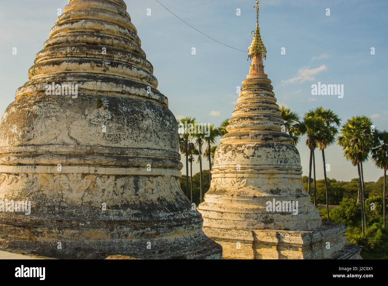 Myanmar. Bagan. Minochantha Stupa group and palm trees beyond Stock ...
