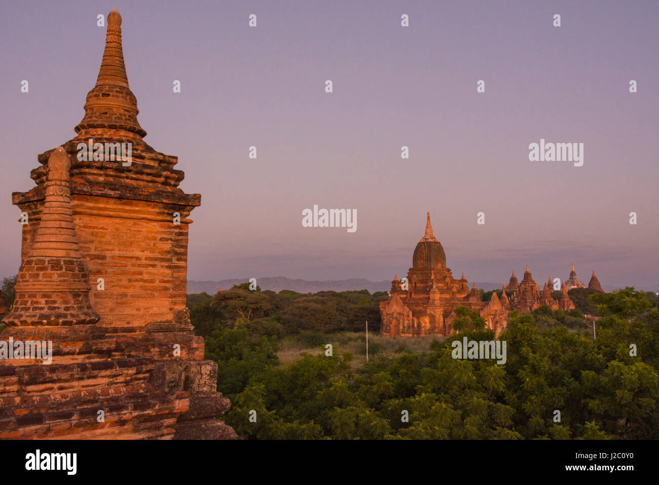 Myanmar. Bagan. Temples of Bagan in the purple pre-dawn light Stock ...