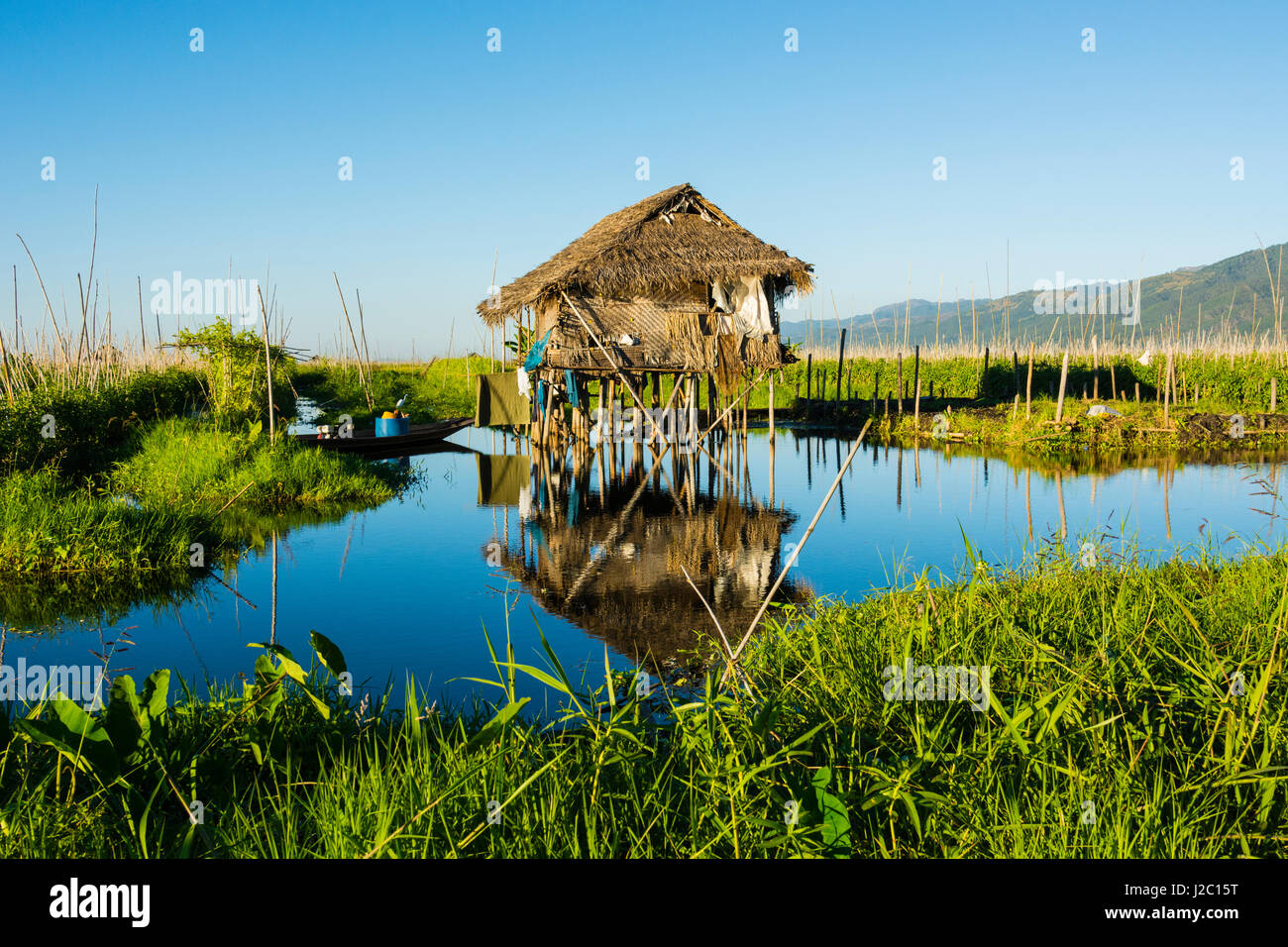 Myanmar. Shan State. Inle Lake. Floating farm Stock Photo - Alamy
