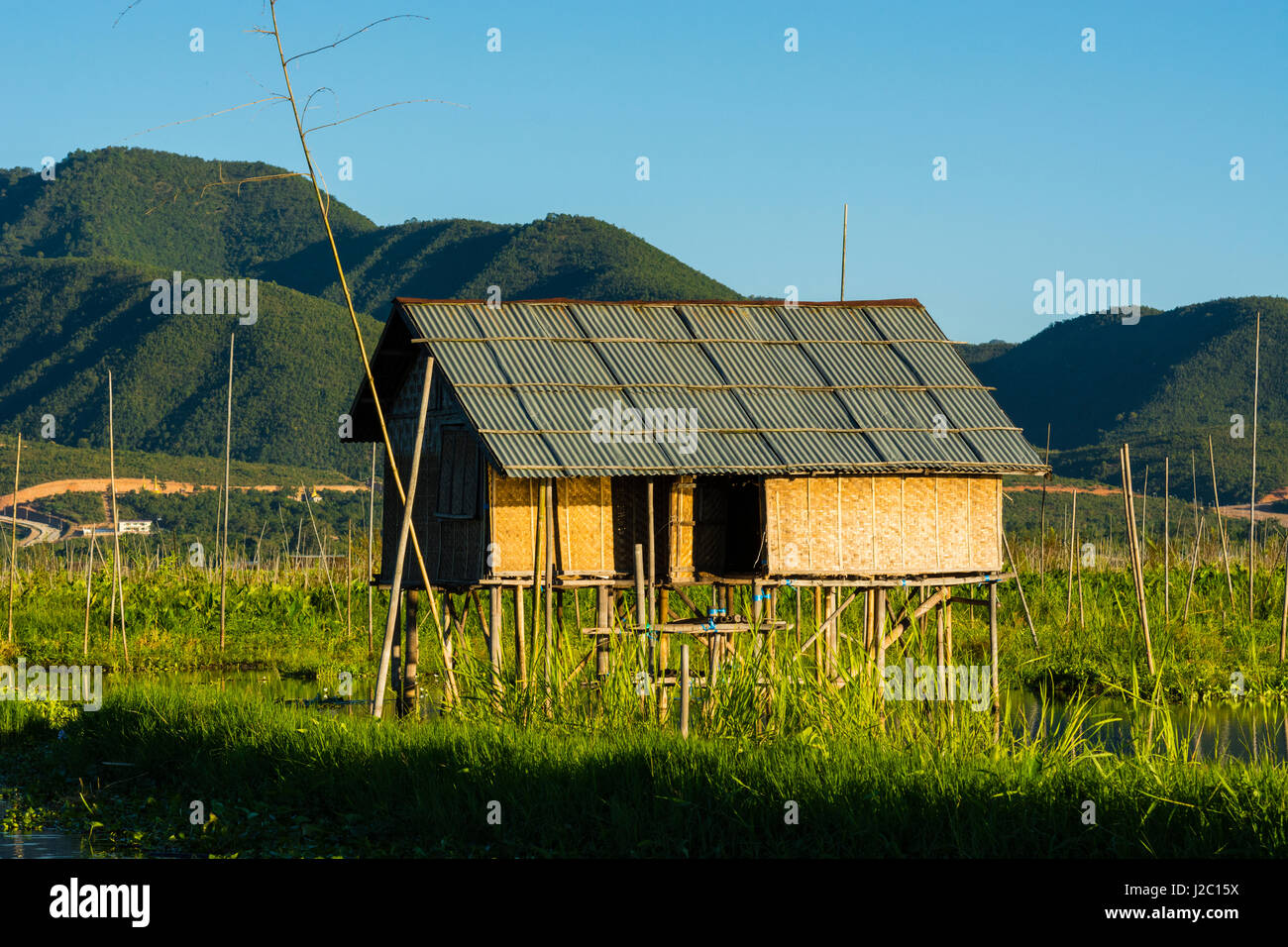 Myanmar. Shan State. Inle Lake. Floating farm Stock Photo - Alamy