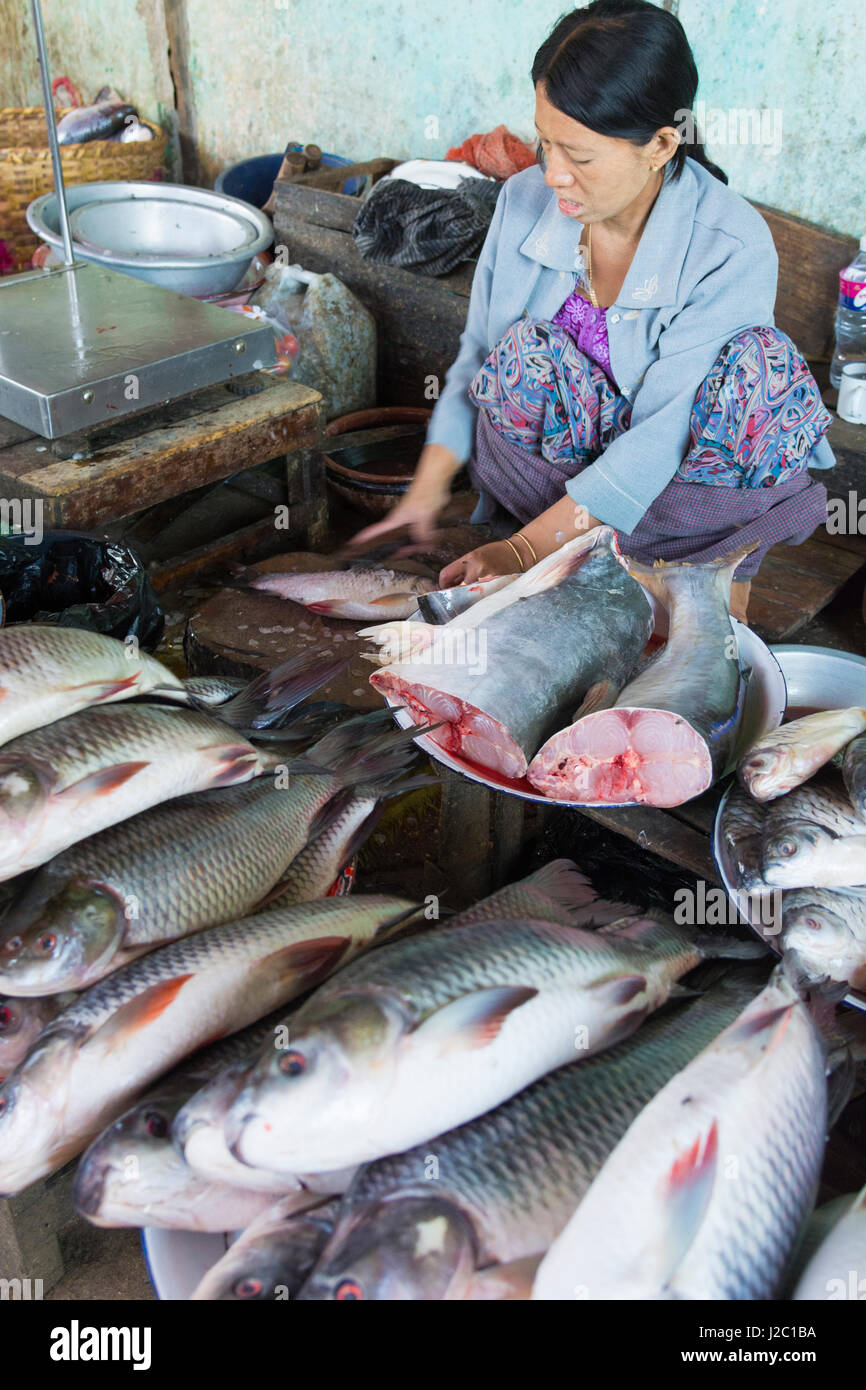 Myanmar. Bagan. Nyaung U. Woman selling fish in the market Stock Photo ...