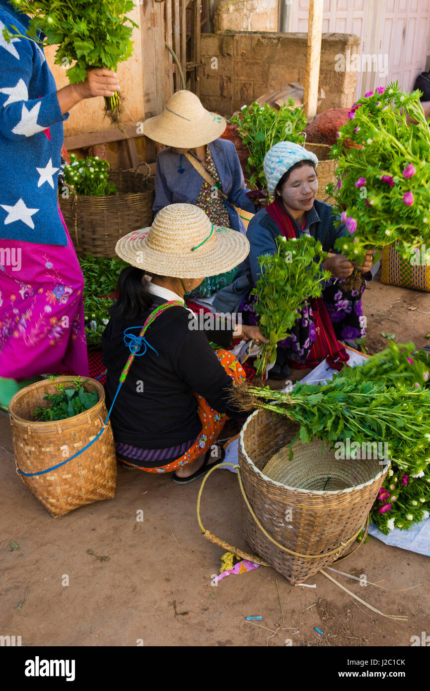 Myanmar. Shan State. Aung Pan market. Women selling flowers Stock Photo ...