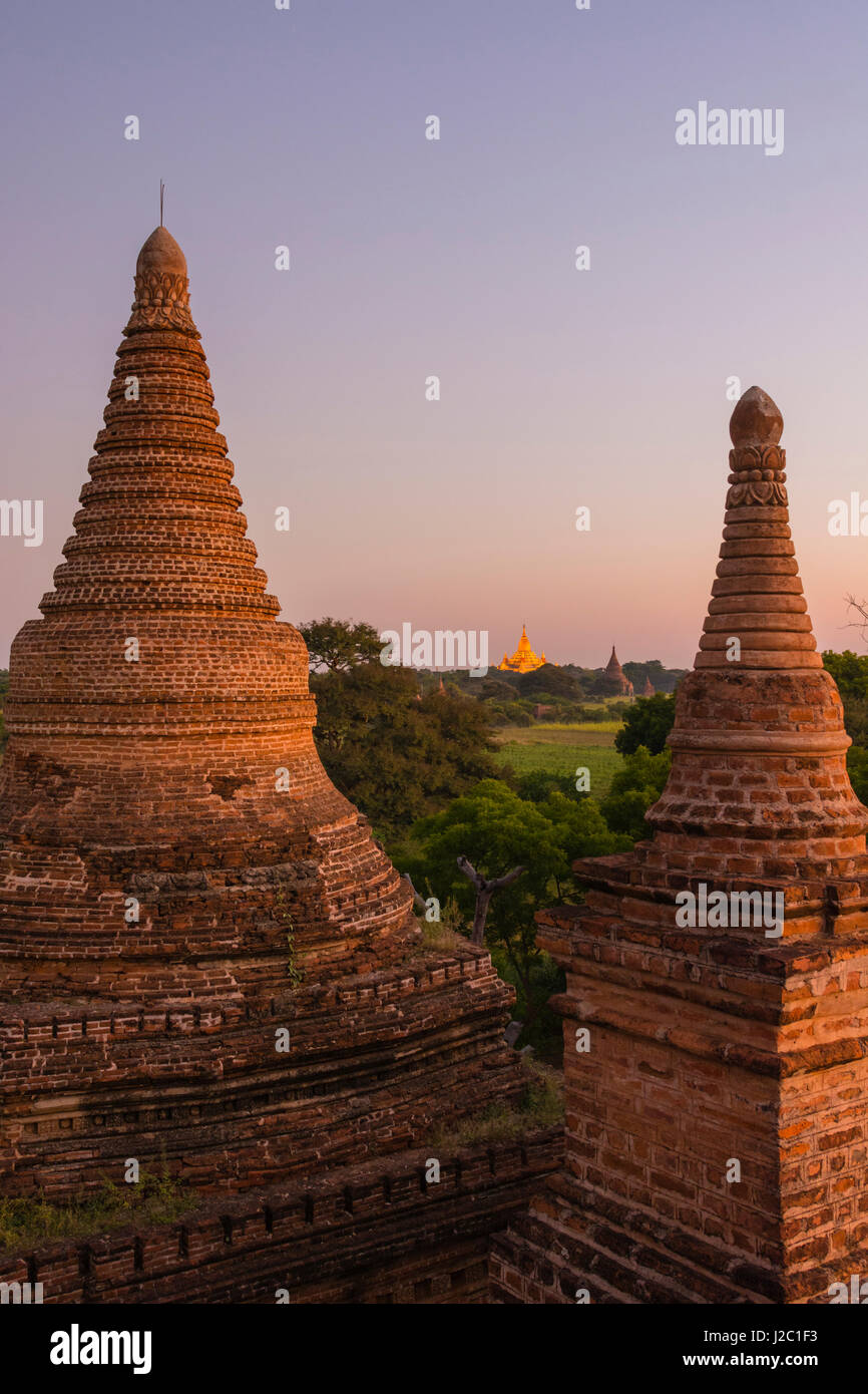 Myanmar. Bagan. Temples of Bagan in the purple pre-dawn light Stock ...