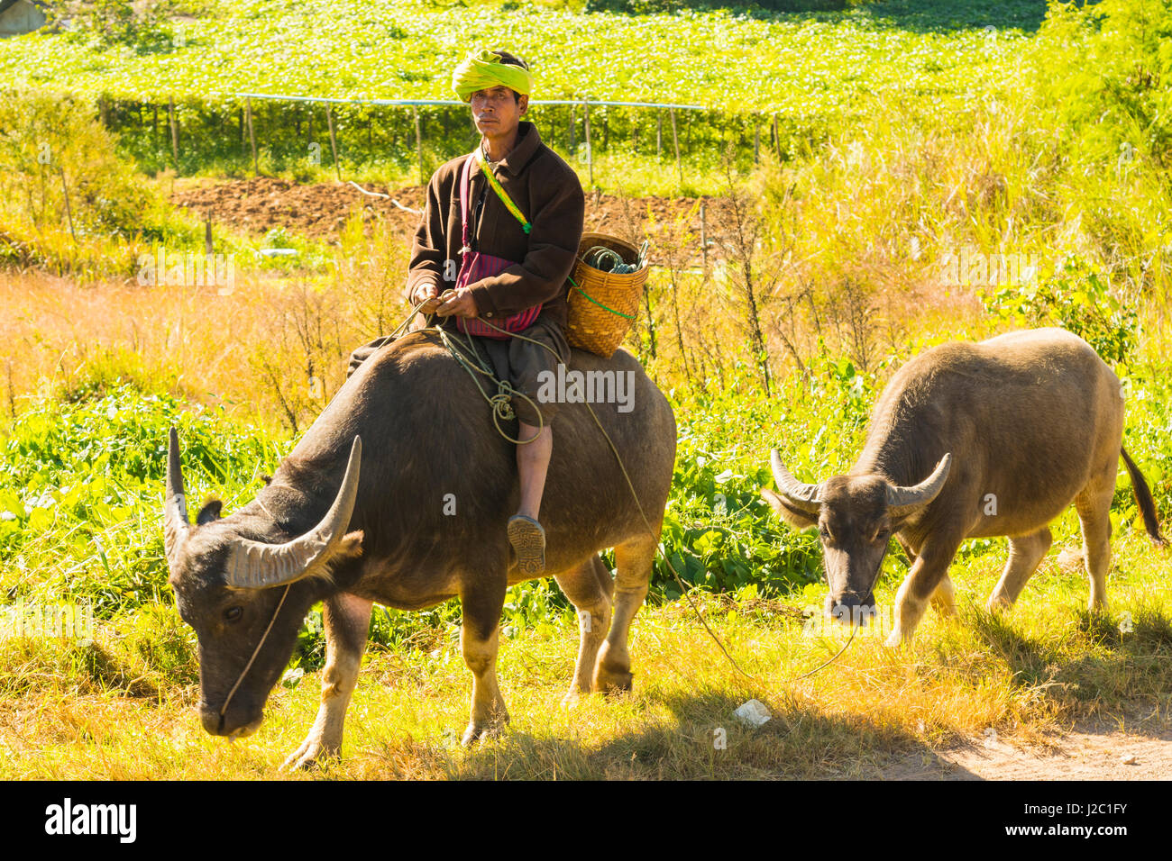 Riding in costume hi-res stock photography and images - Alamy