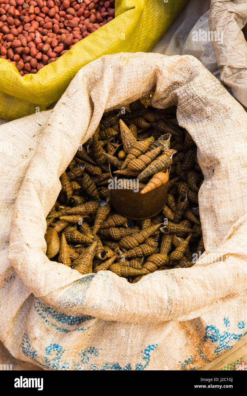 Myanmar. Shan State. Aung Pan market. Freshwater whelks for sale Stock ...