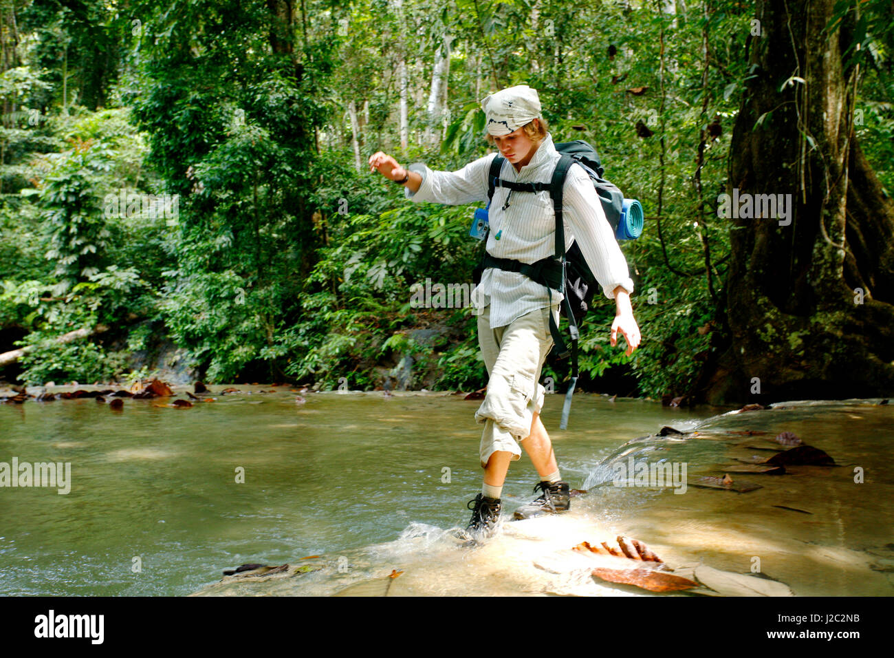 Asia, Indonesia, Sulawesi. Balancing across a small rainforest stream ...