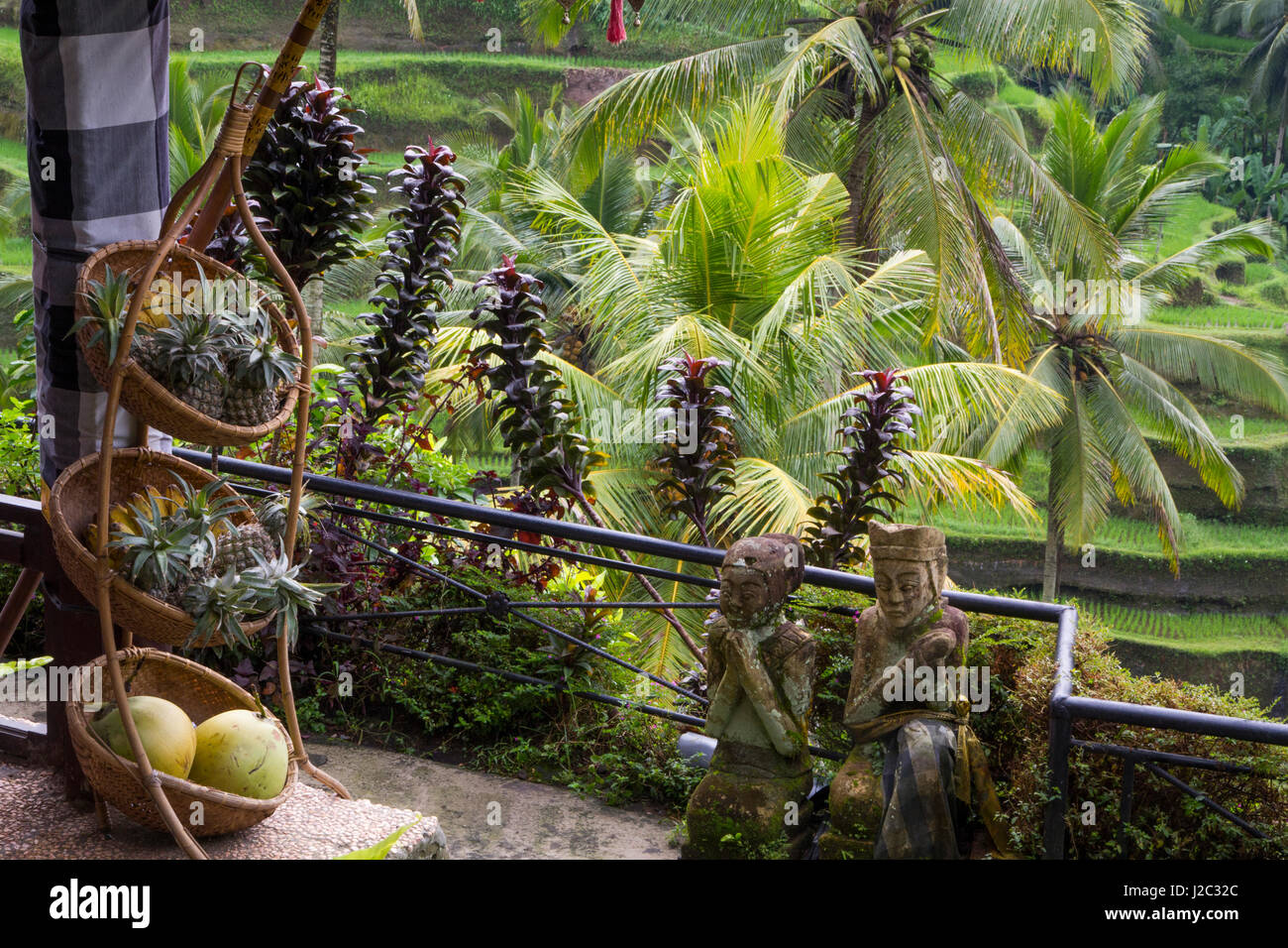 Indonesia, Bali. Overlooking the terraced Subak Rice paddies of Bali ...