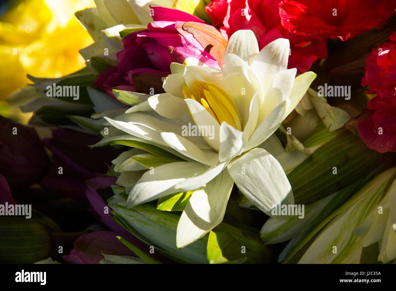 Indonesia, Bali. Outdoor Bali flower market. Flowers are used daily by ...