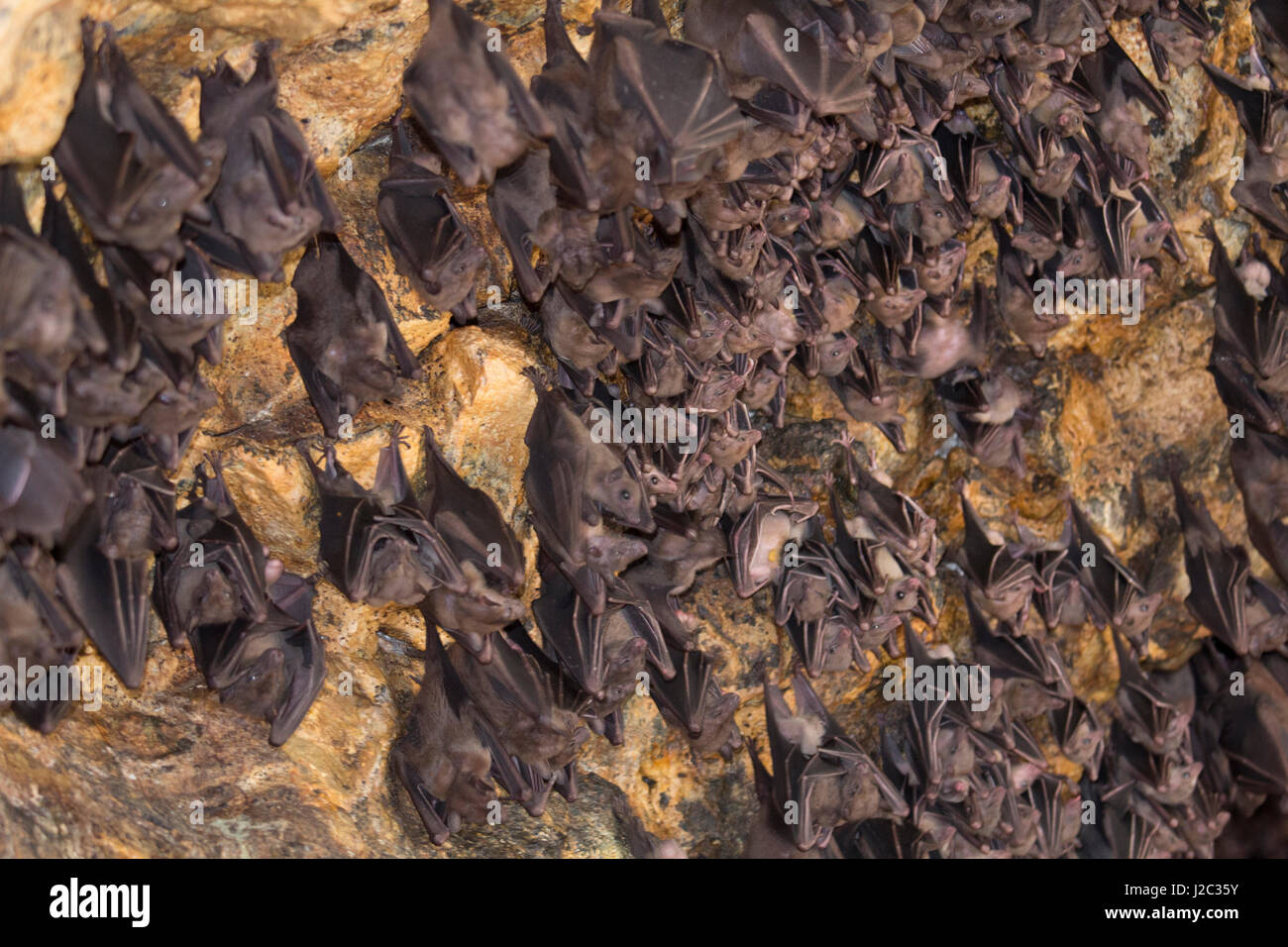 Indonesia, Bali. Pura Goa Lawah Temple of the Bat Caves Stock Photo - Alamy