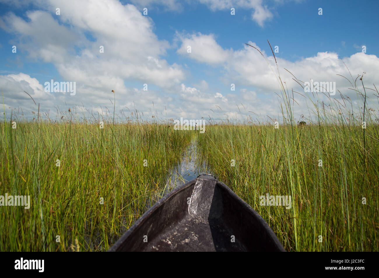 Mokoro Canoe Trip in the Okavango Delta near Maun, Botswana Stock Photo ...
