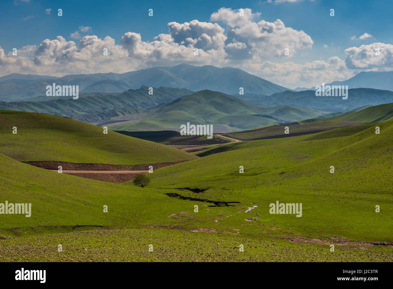Green scenery around the Darbandikhan artificial lake on the border of ...