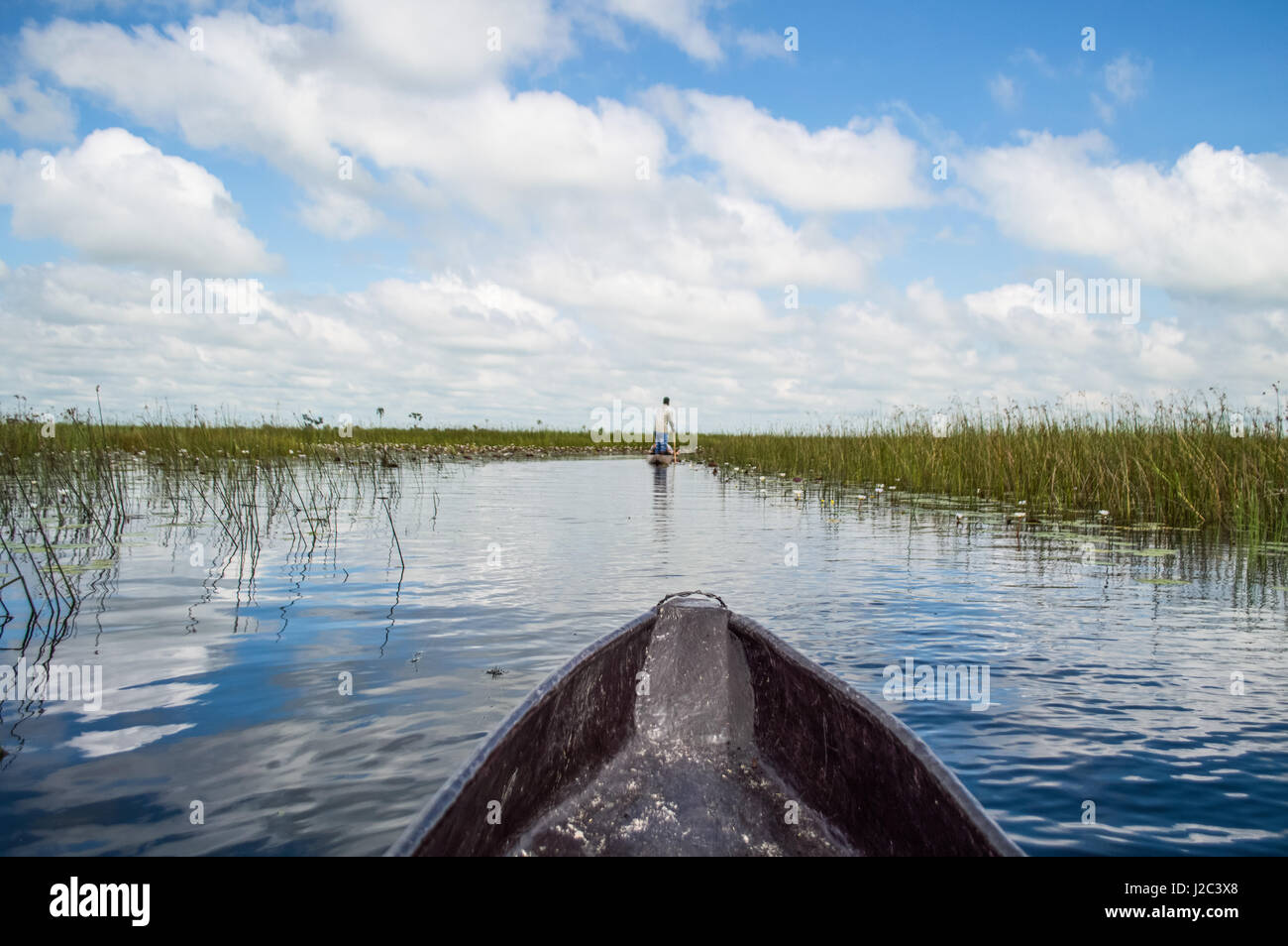 Mokoro Canoe Trip in the Okavango Delta near Maun, Botswana Stock Photo ...