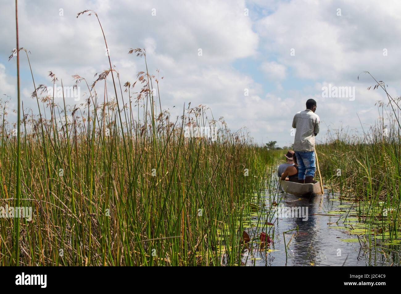 Mokoro Canoe Trip in the Okavango Delta near Maun, Botswana Stock Photo ...