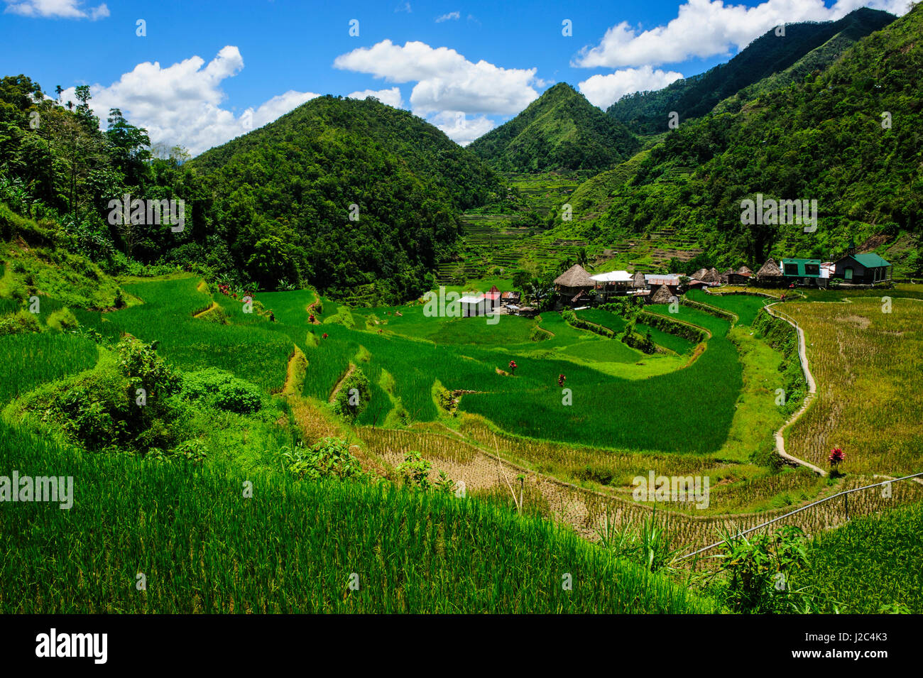 Bangaan in the rice terraces of Banaue, Northern Luzon, Philippines ...