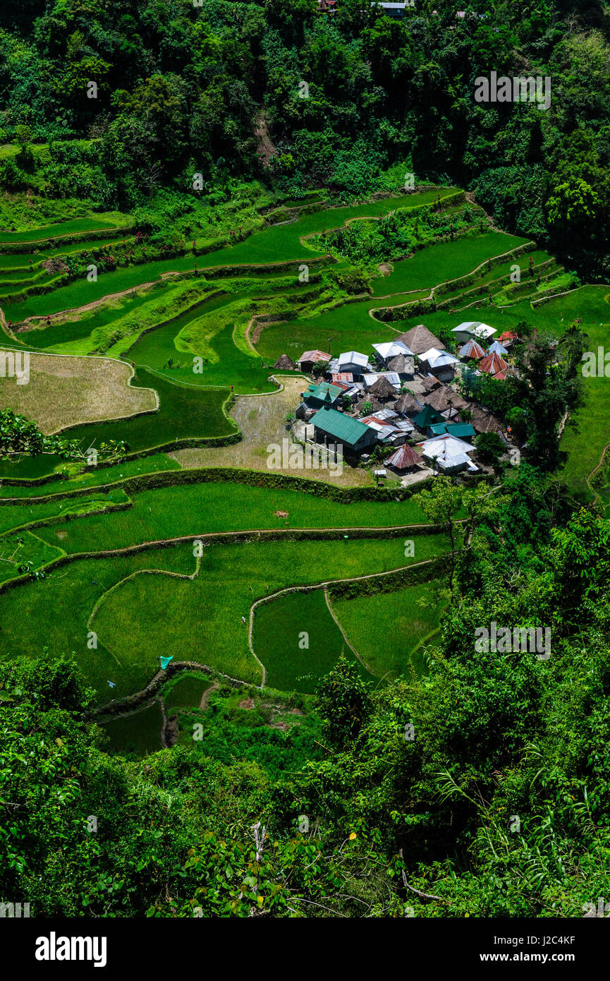 Bangaan in the rice terraces of Banaue, Northern Luzon, Philippines ...