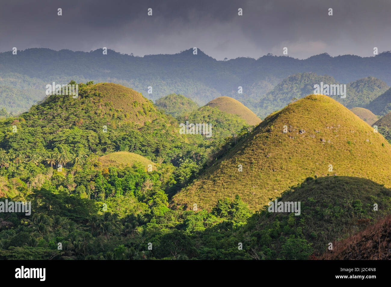 Chocolate Hills, Bohol, Philippines Stock Photo - Alamy