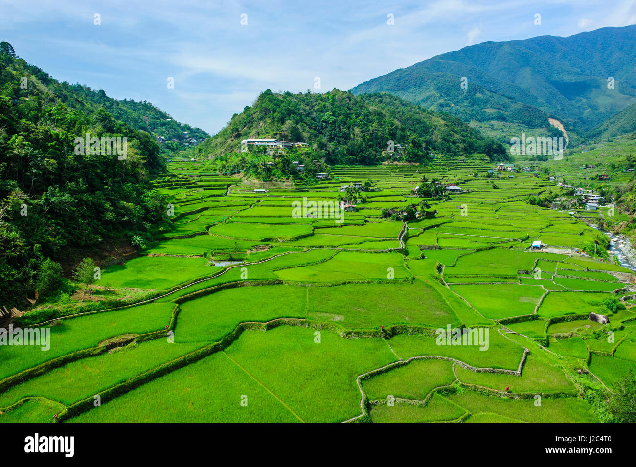 Hapao Rice Terraces, World Heritage Site, Banaue, Luzon, Philippines ...