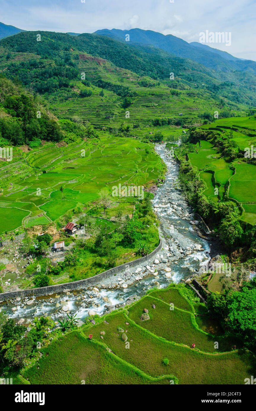 Hapao Rice Terraces, World Heritage Site, Banaue, Luzon, Philippines ...