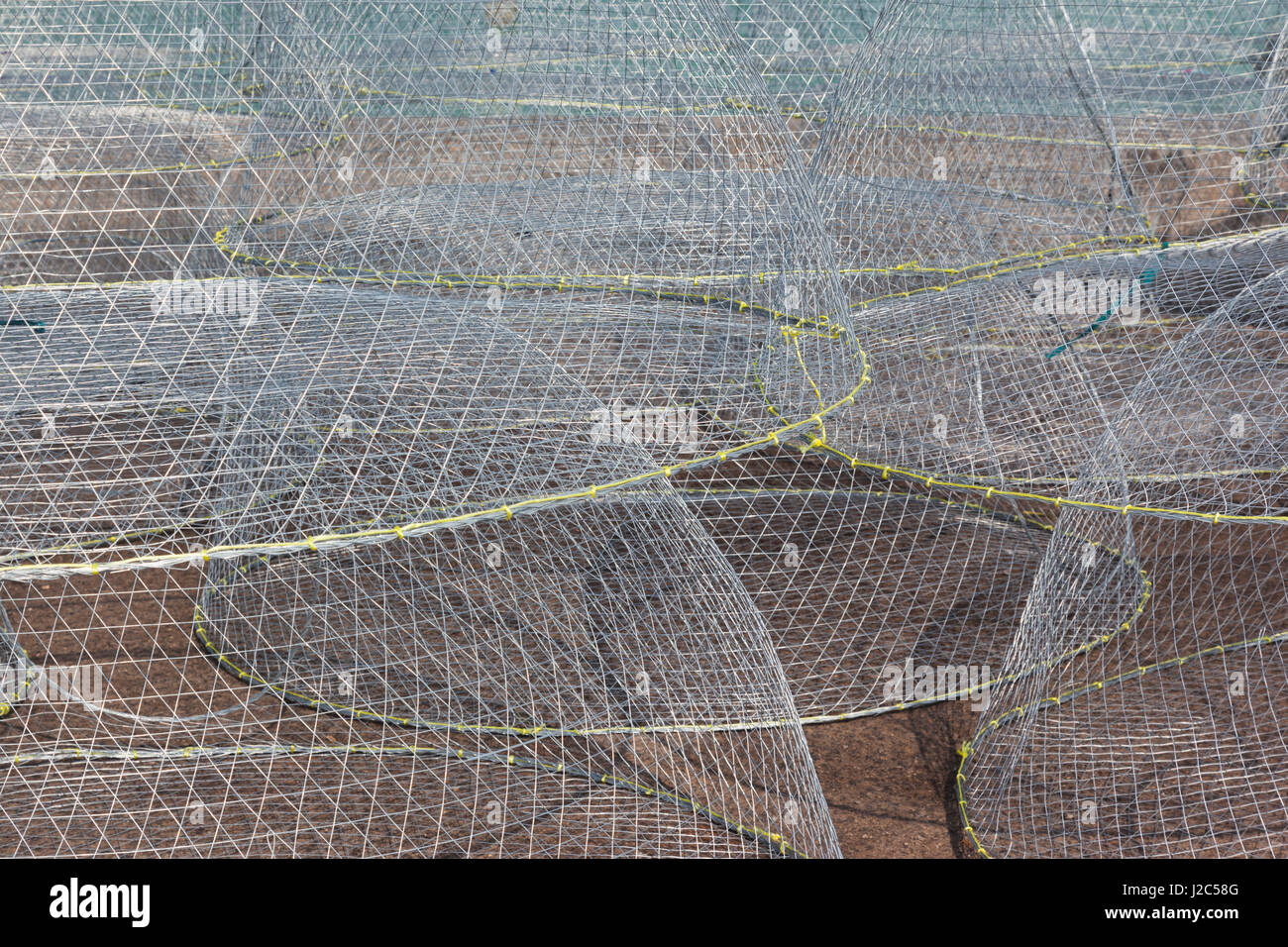 Qatar, Al-Khor, fishing port with wired fishing baskets Stock Photo - Alamy