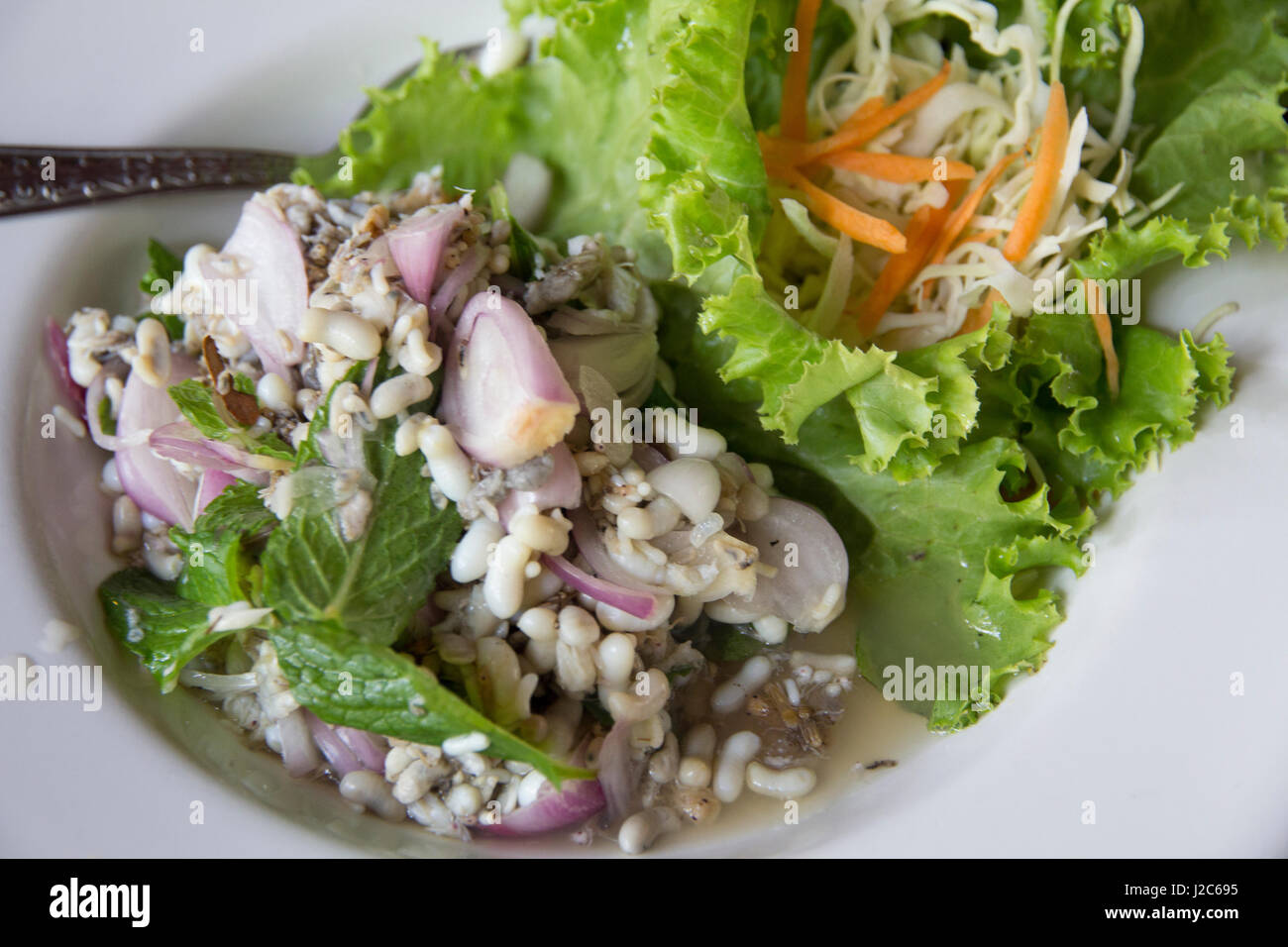 Thailand, Chiang Mai. Thai dish made with red ant pupae and red ant ...