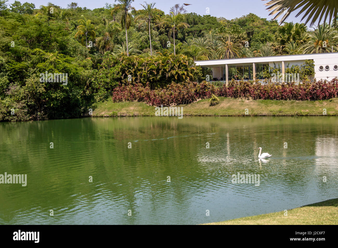 Lake view at Inhotim Public Contemporary Art Museum - Brumadinho, Minas ...