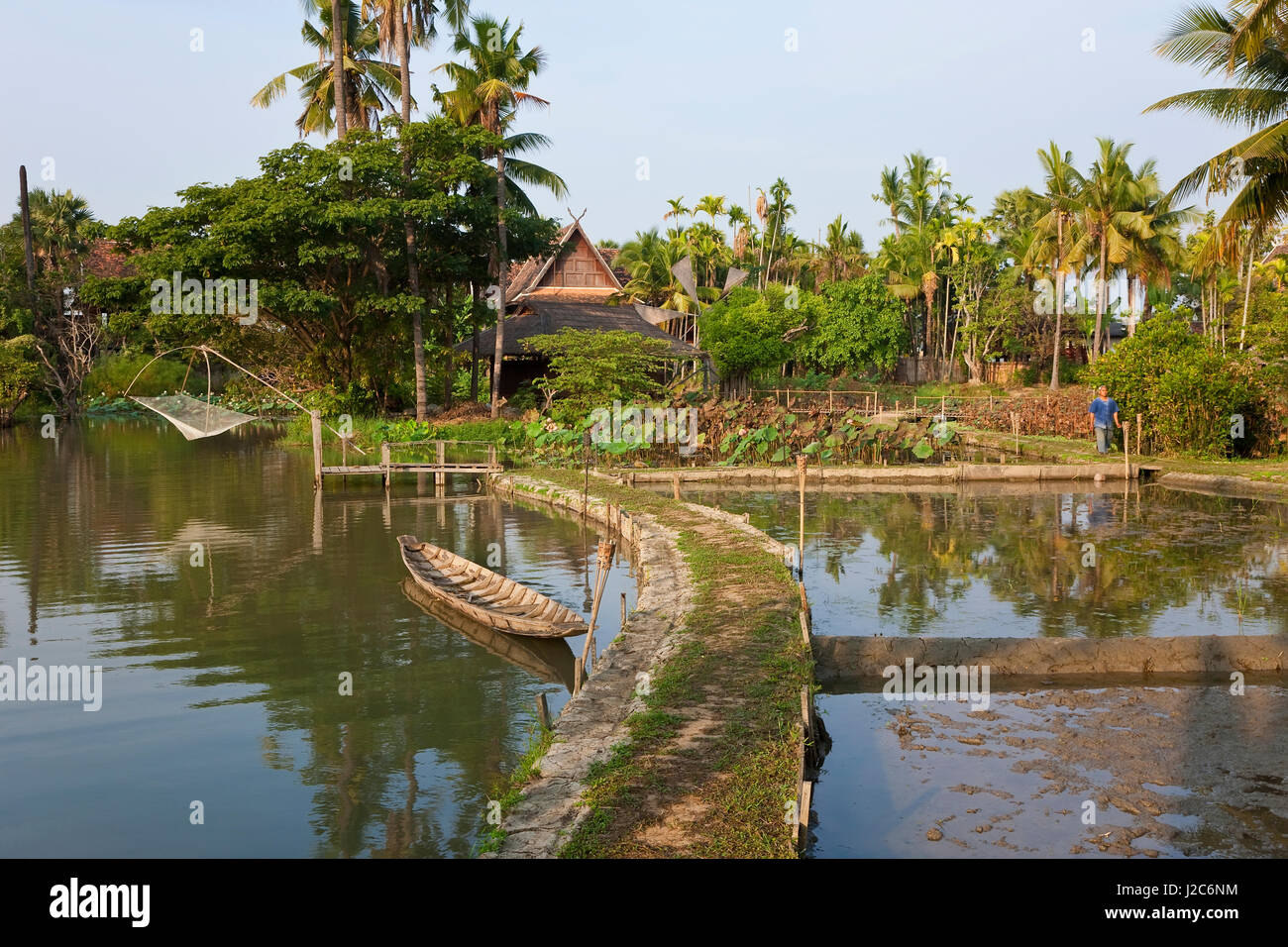 Rice paddies near Chiang Mai, Thailand Stock Photo - Alamy