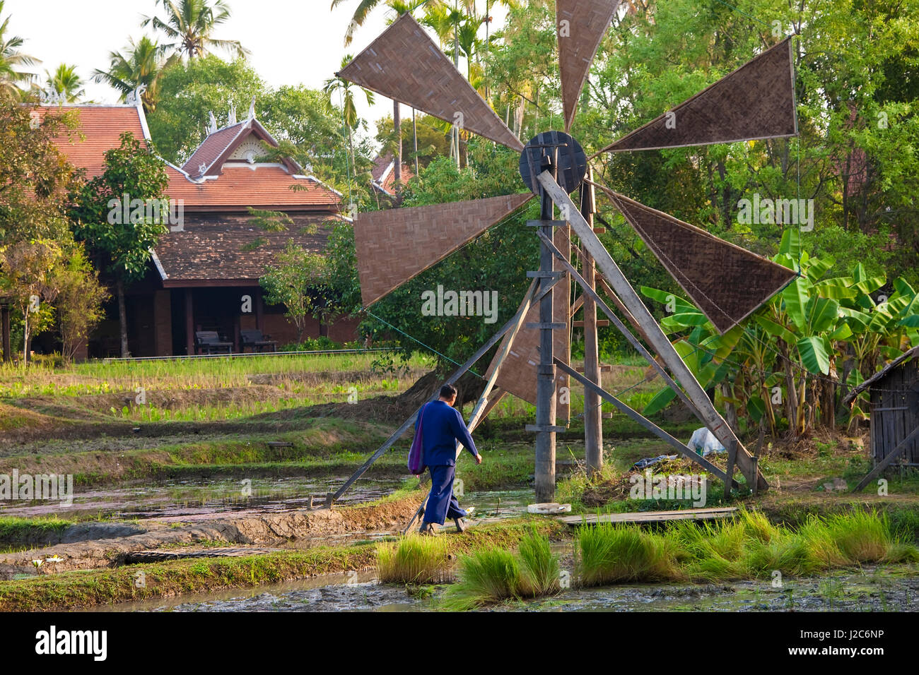 Rice paddies and windmill near Chiang Mai, Thailand Stock Photo - Alamy