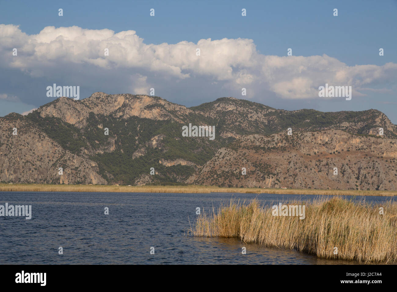Turkey, Dalyan, Iztuzu Beach, 'Turtle Beach'. The beach forms a natural ...
