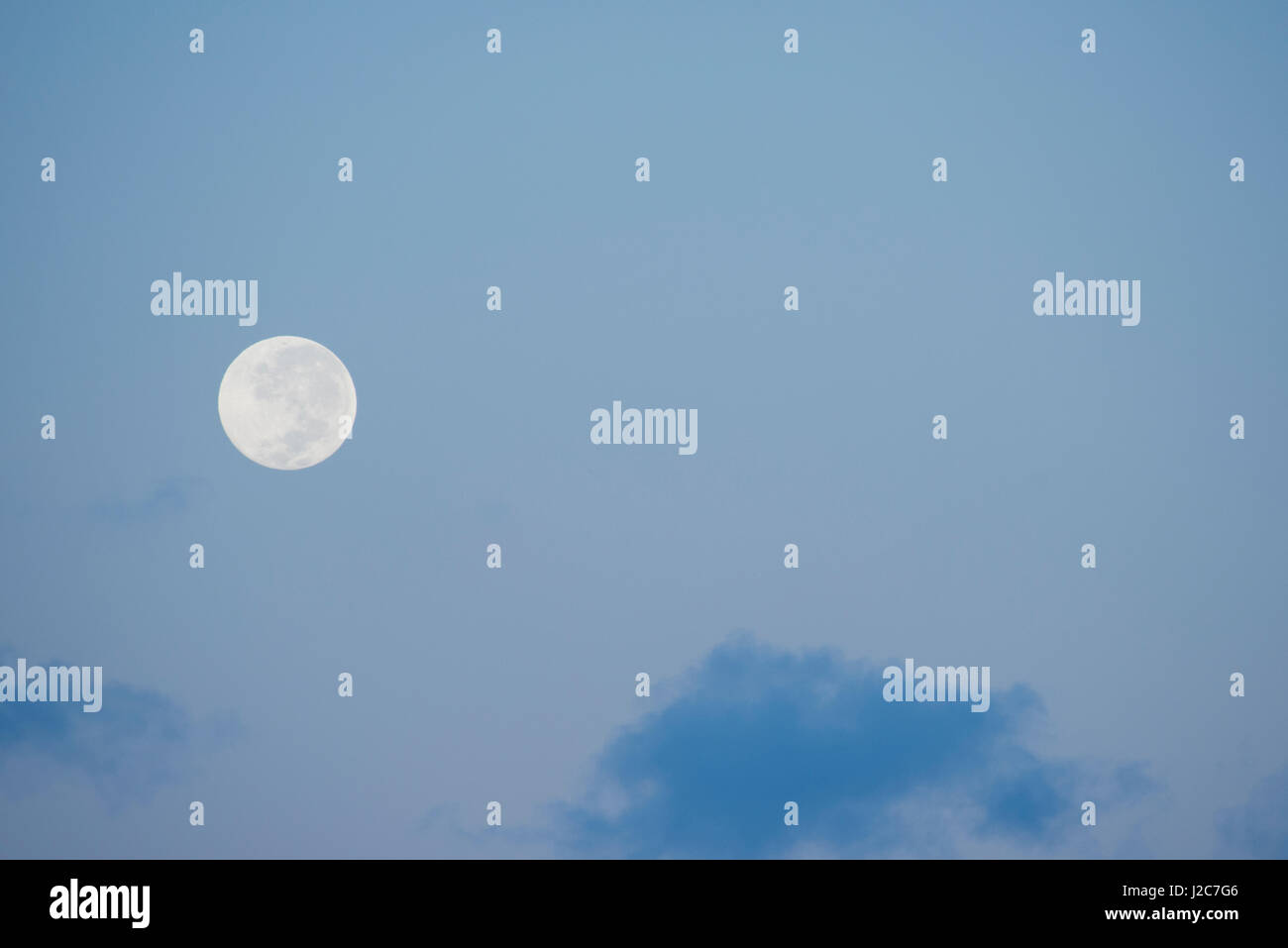 Australia, Northern Territory, Darwin. Full moon, moonrise with blue ...