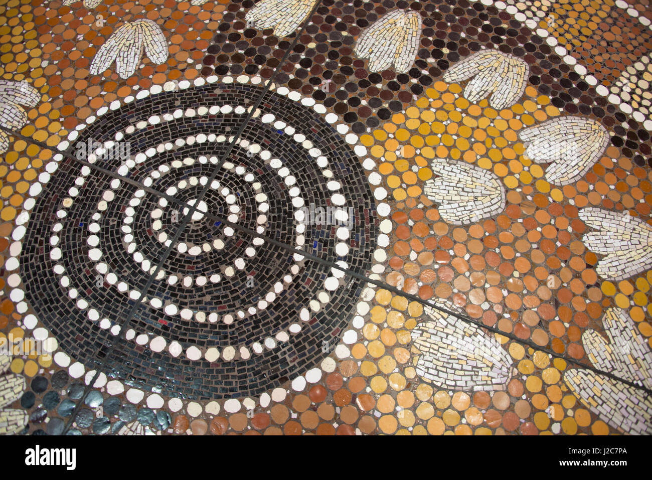 Emu footprint hi-res stock photography and images - Alamy
