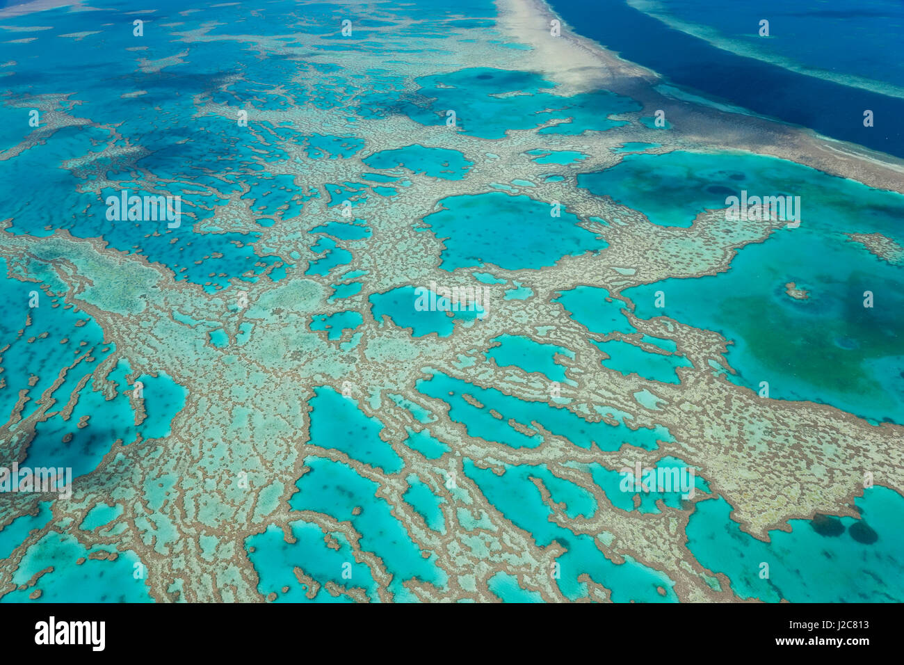 Aerial view of the Great Barrier Reef, Queensland, Australia Stock ...