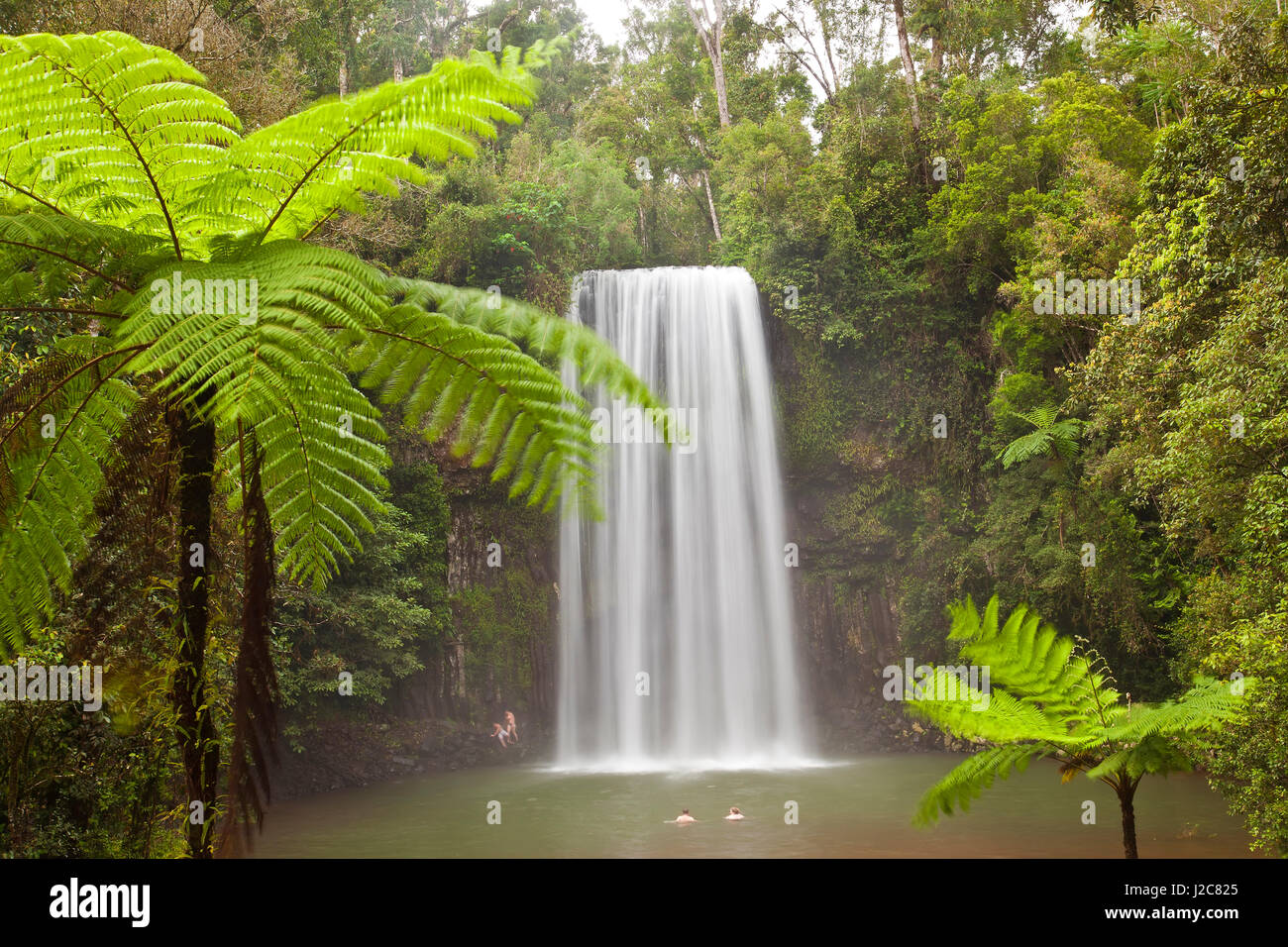 Milla Milla Falls, Atherton Highlands near Cairns, Queensland ...