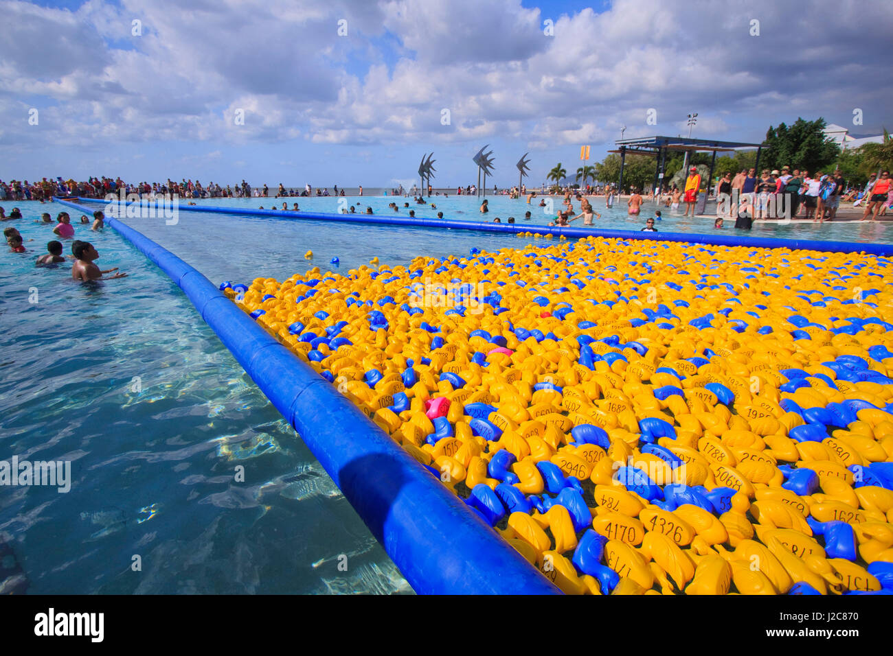Every year the Rotary Club holds a plastic duck race in the popular ...