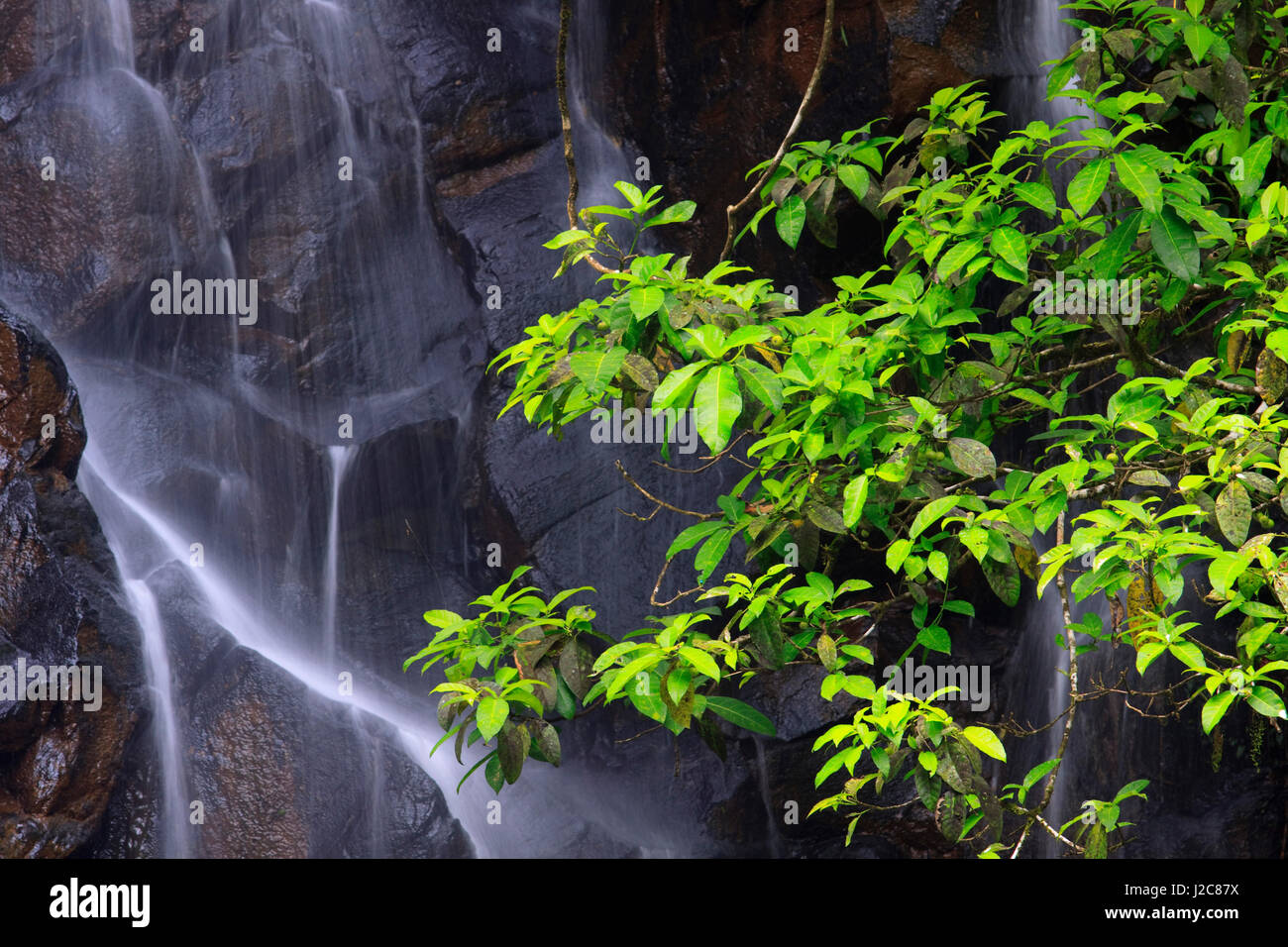 Ellinjaa Falls is one of three scenic waterfalls on the 15km Waterfall ...