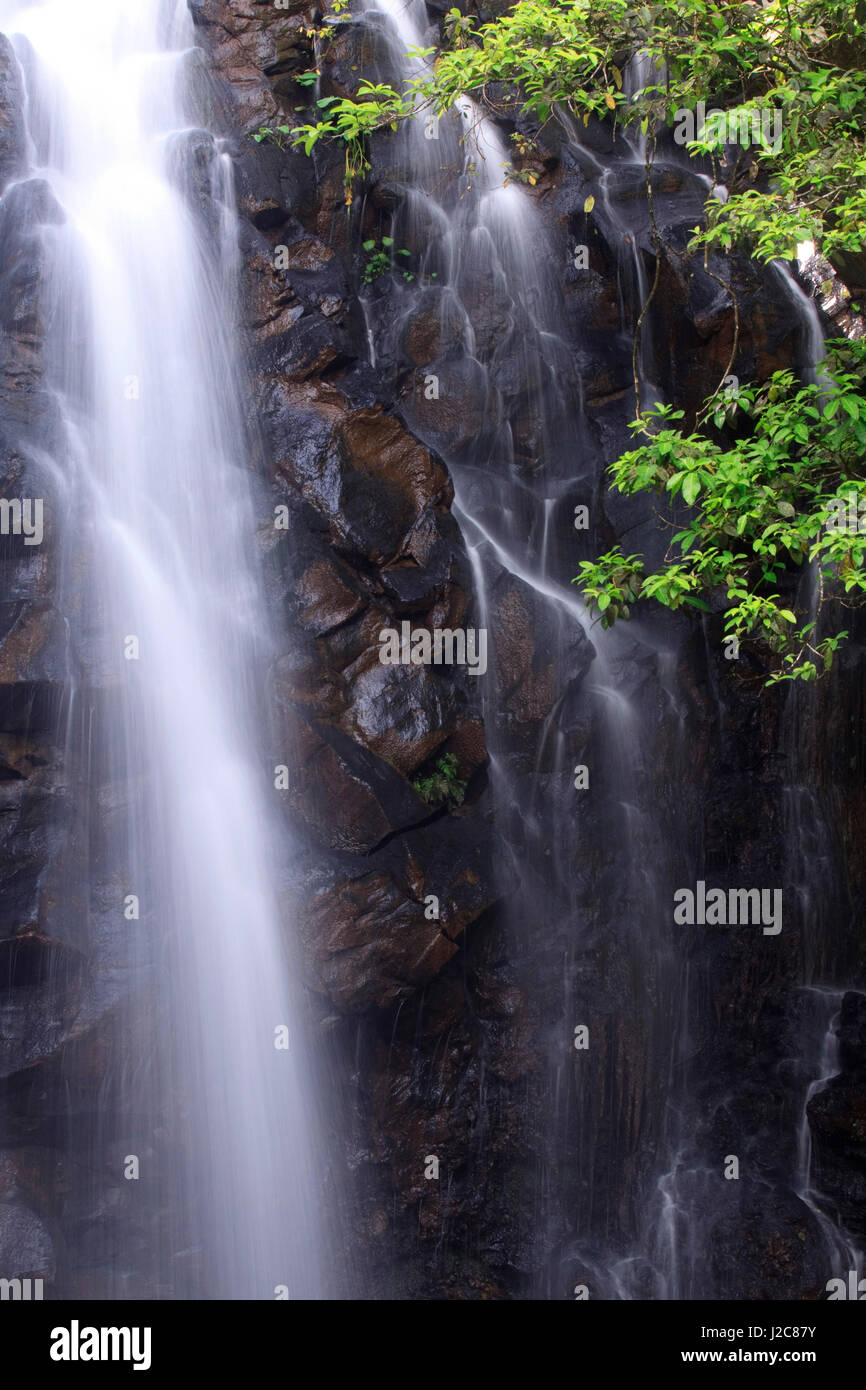 Ellinjaa Falls is one of three scenic waterfalls on the 15km Waterfall ...