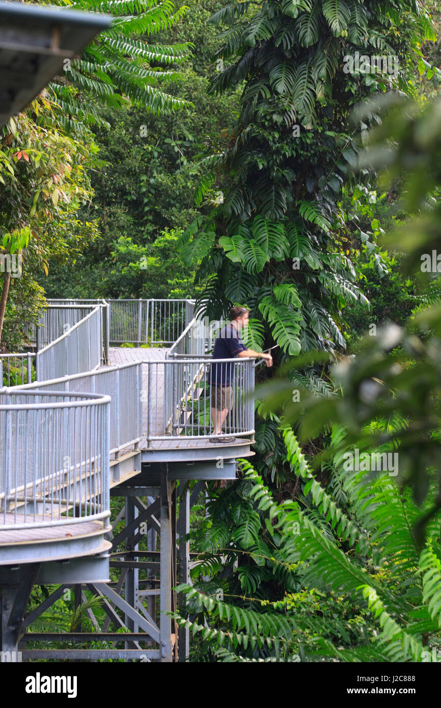 The Mamu Canopy Walkway extends for 350 meters at a height of 15 meters ...