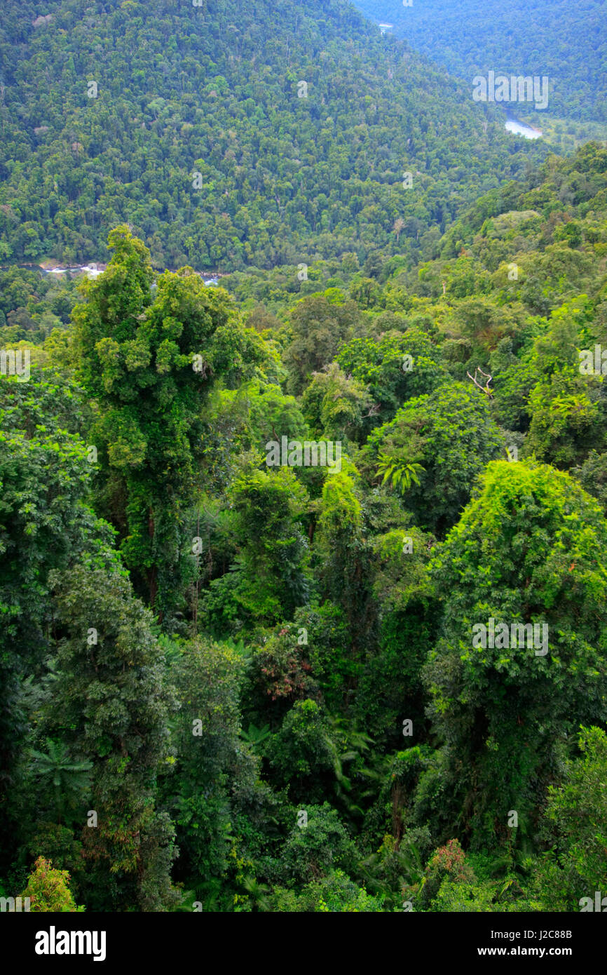 Spectacular view out over the North Johnstone River from the top of the ...