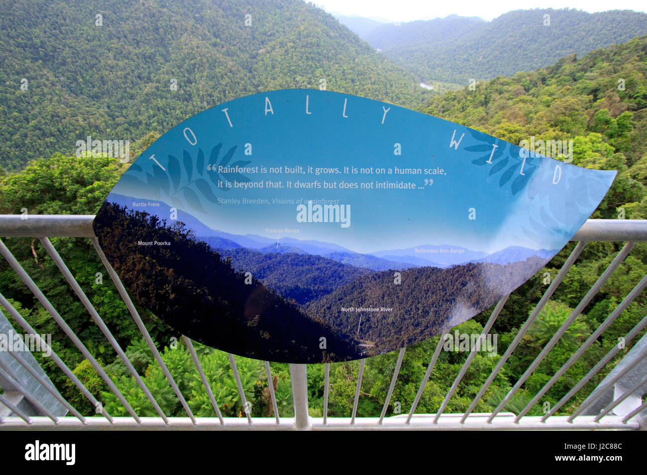 Spectacular view out over the North Johnstone River from the top of the ...